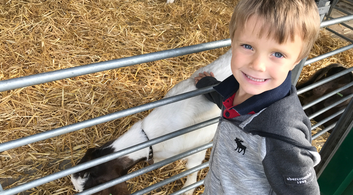 All the Fun of Countryside Live in Harrogate - Harrogate Mama ...