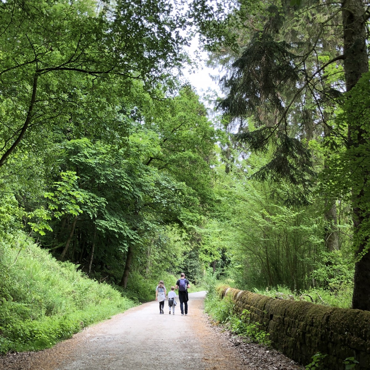 Swinsty Reservoir Walk with the Family - Harrogate Mama
