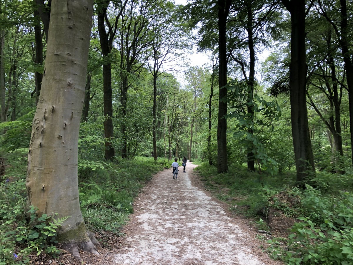 Swinsty Reservoir Walk with the Family - Harrogate Mama